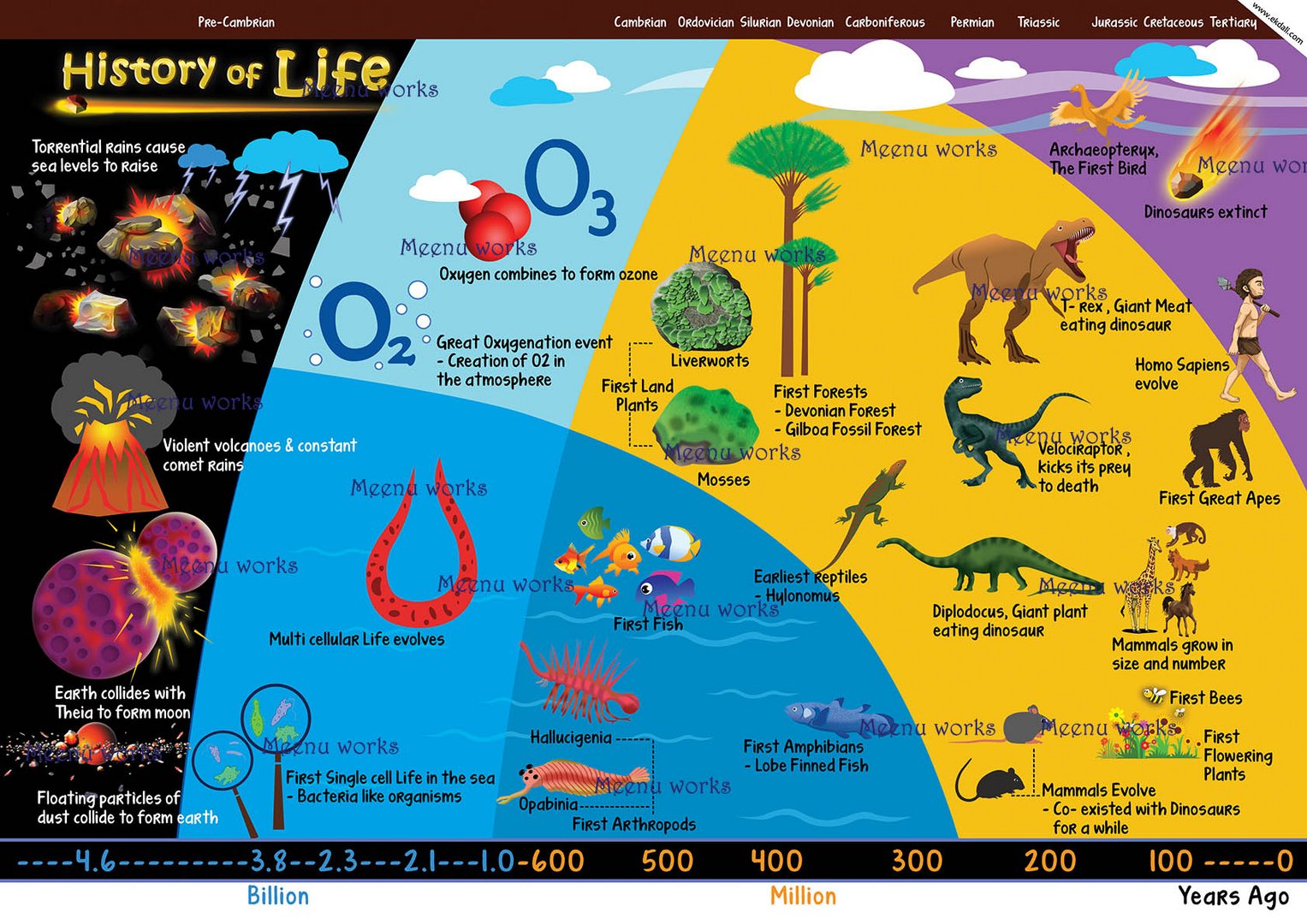 History of Life Illustration Project for children by Meenu Chan - on Twine.